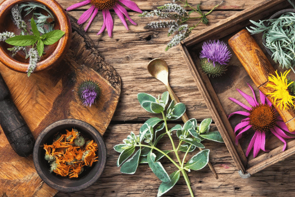 What Are Some Useful Herbs To Promote Brain Health? - Pittsburgh ...