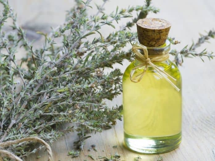 A Guide to Botanical Oils and Extracts